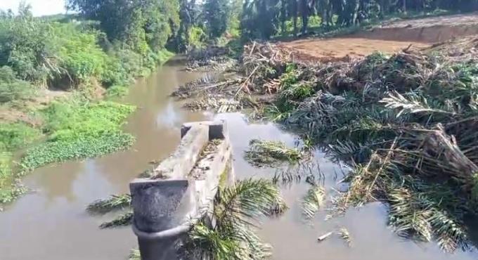 Sungai Air Selali Tercemar Limbah Pembersihan Lahan kebun Sawit Milik ...